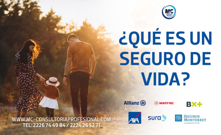 ¿Qué es un seguro de vida? - M&C Consultores Financieros en Puebla